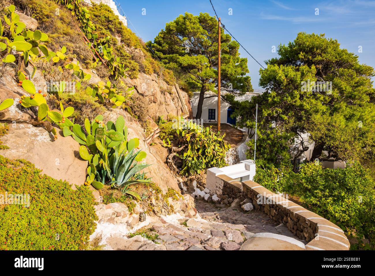 Path to church from Plaka village among cacti plants and typical Greek ...