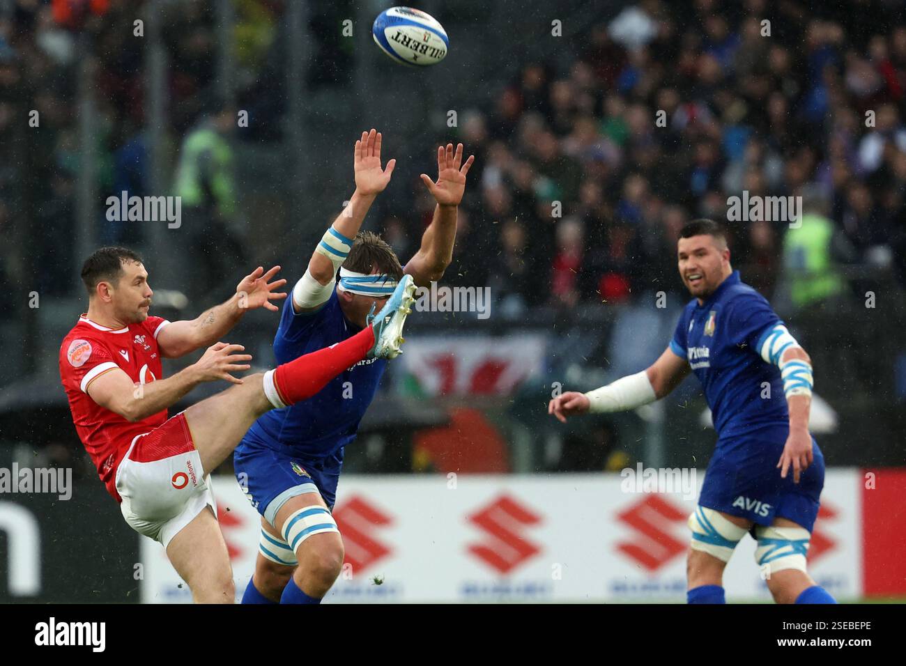 Rome, Italy 08.02.2025: Tomos Williams of Wales, Lorenzo CANNONE of ...