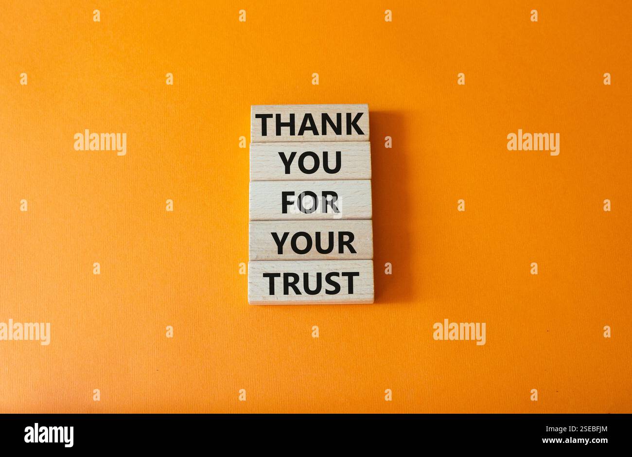 Thank you for your trust symbol. Wooden blocks with words Thank you for ...