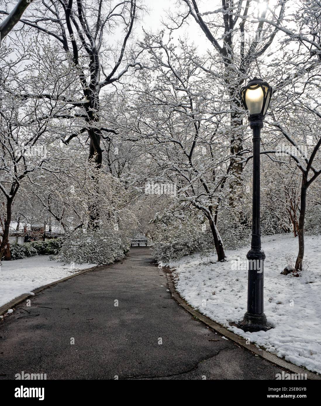Central Park in winter after snow storm in early morning Stock Photo ...
