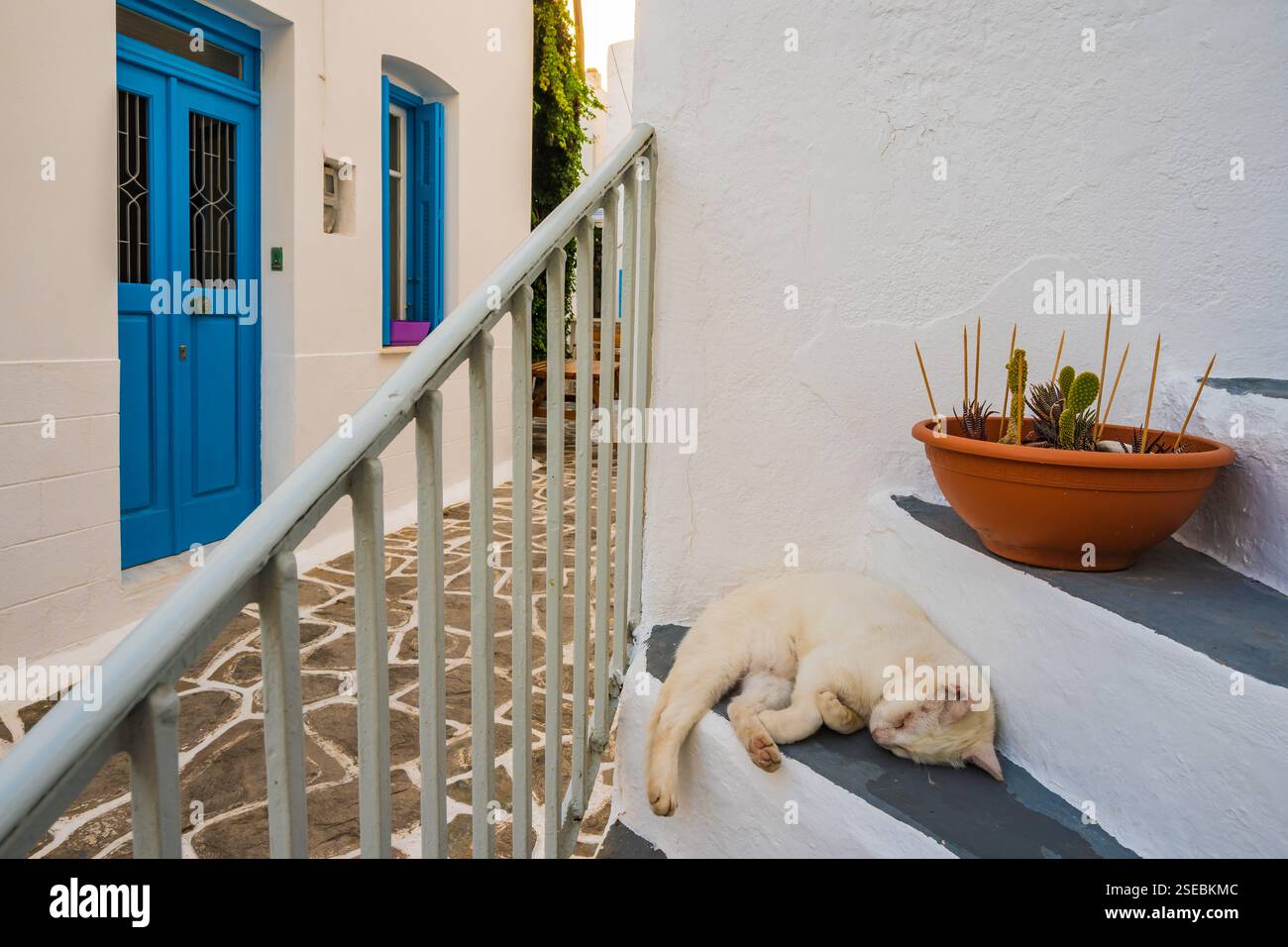White cat sleeping on steps of typical Greek white houses in Plaka ...
