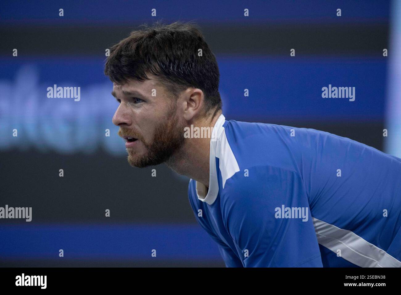 Evan mcgregor hi-res stock photography and images - Alamy
