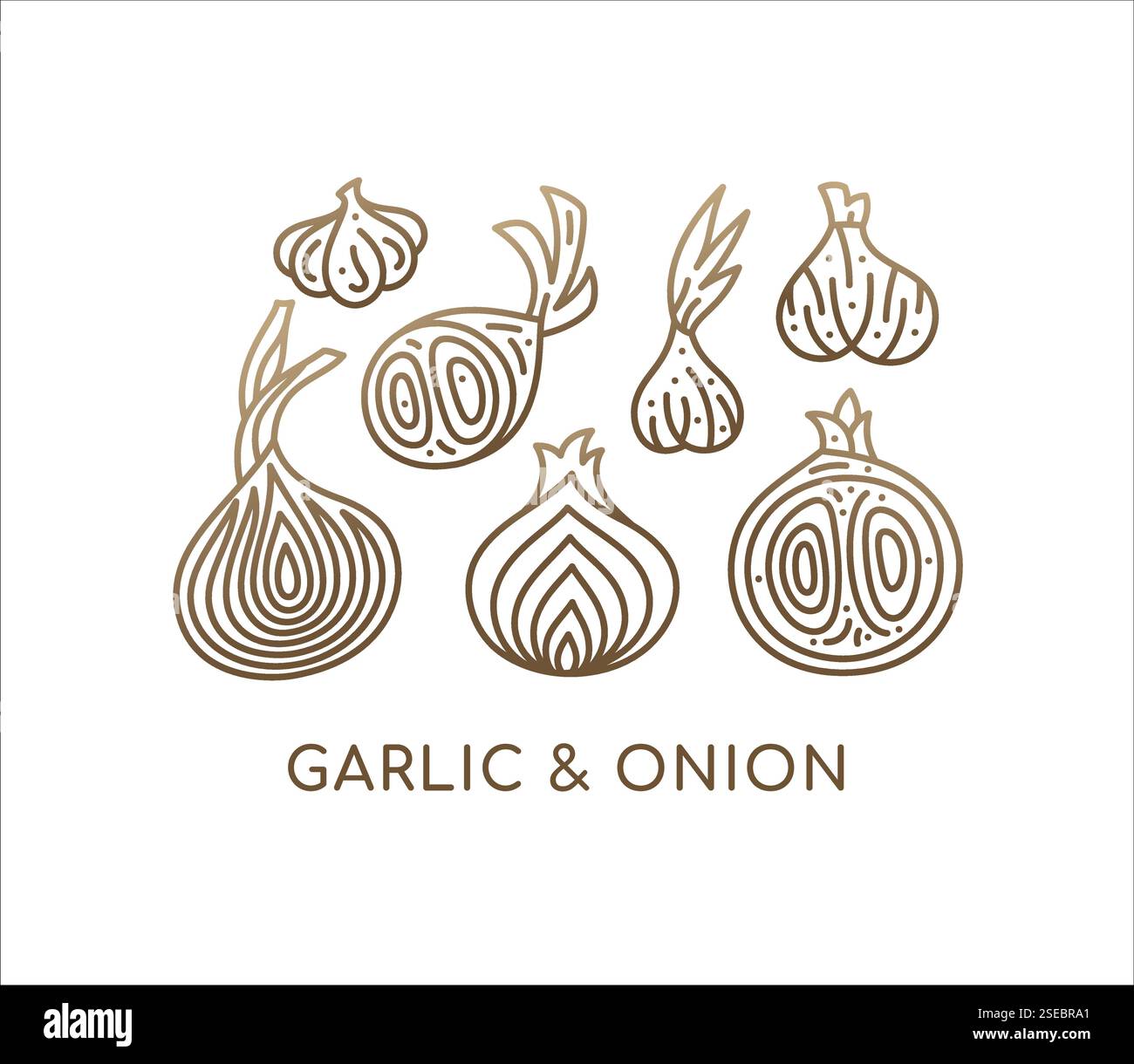 Onion and garlic linear set icons. Logo vegan food. Ripe root. Spices ...