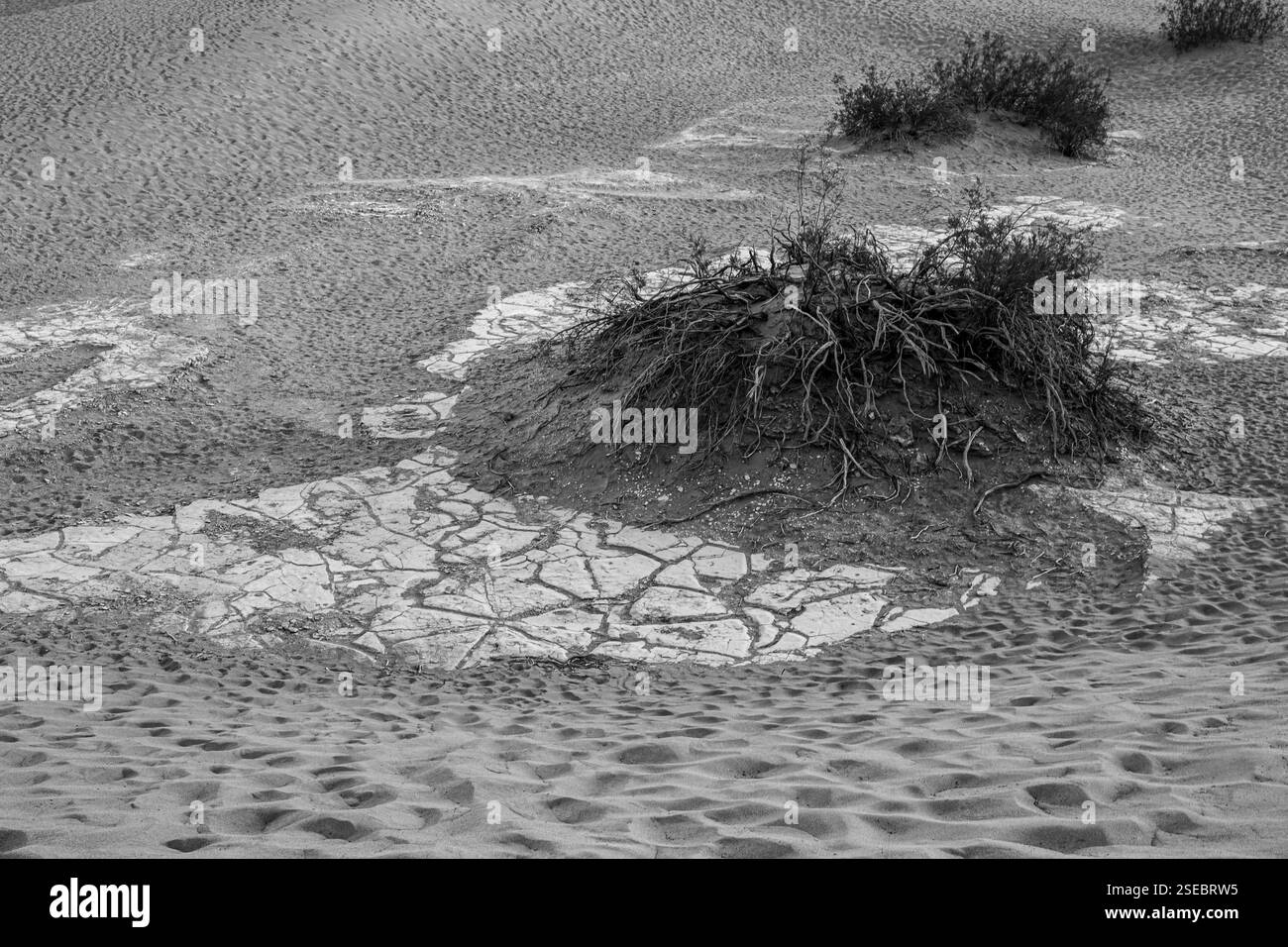 The hot desert floor in Death Valley is baked in the sun. Dried mud is ...