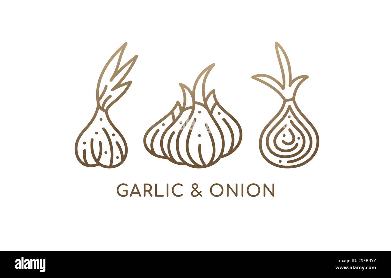 Onion and garlic. Linear set icons. Logo vegan food. Ripe root. Spices ...