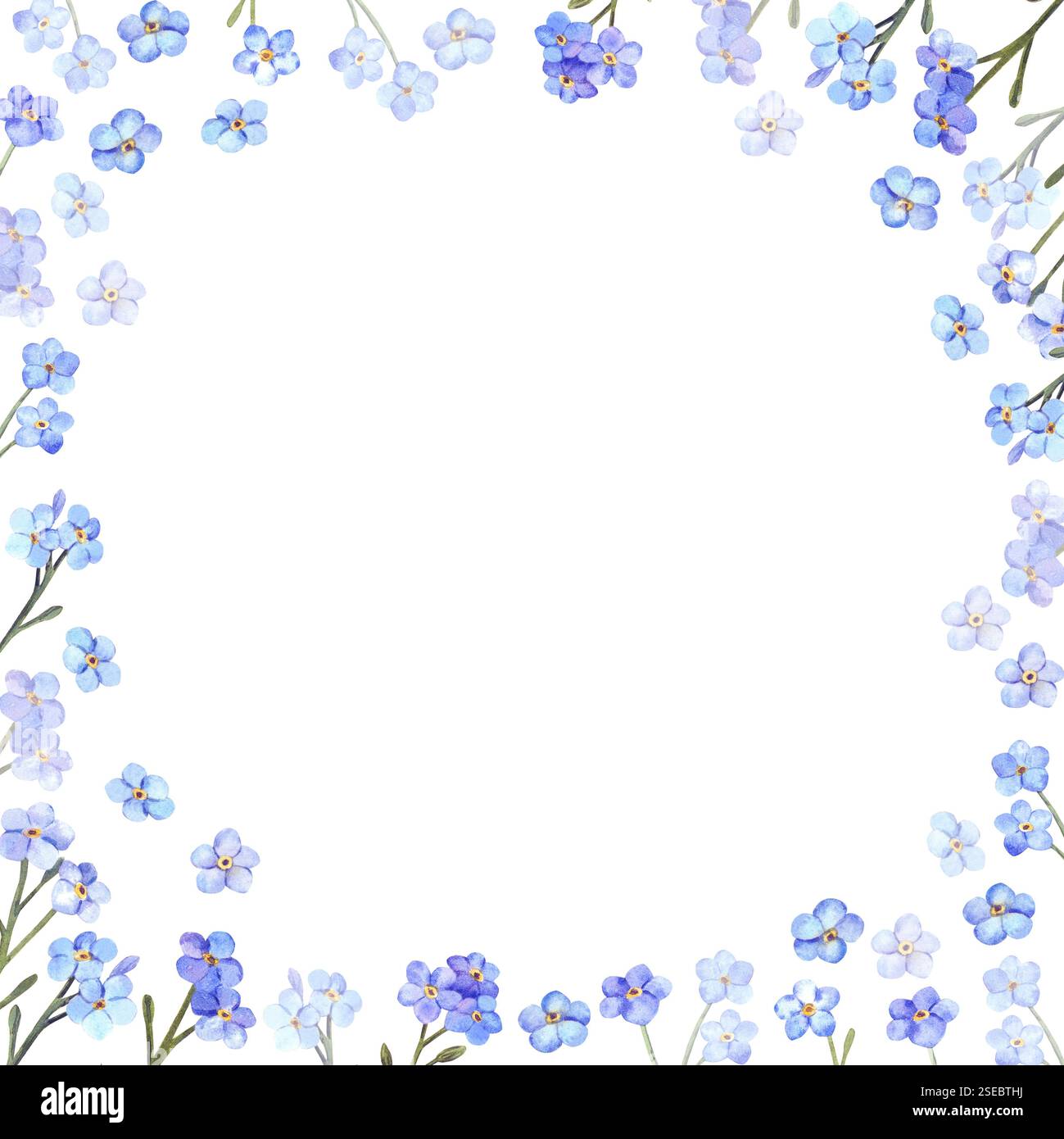 A frame with blue forget-me-nots flowers. Hand drawn watercolor ...