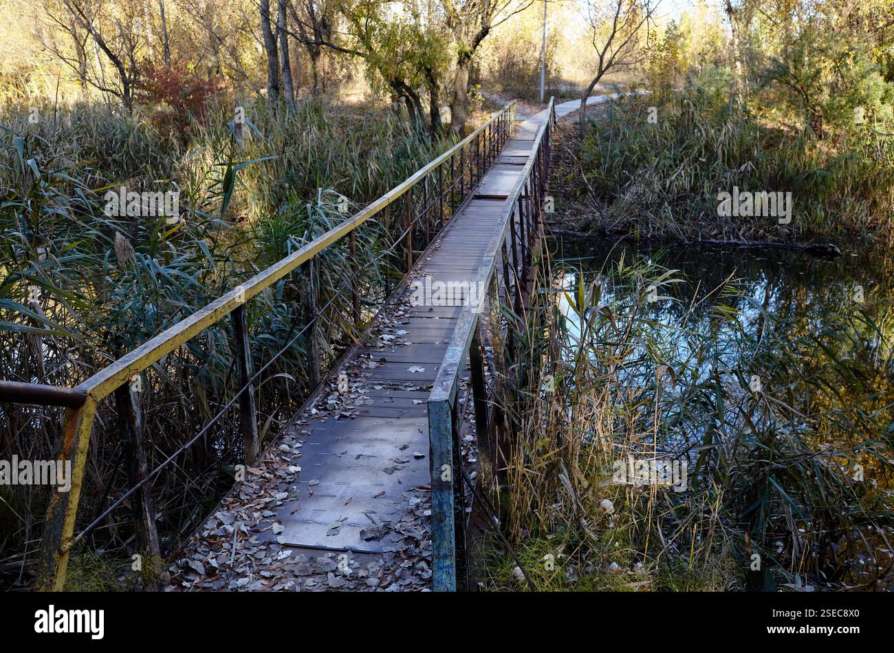A rusted metal bridge over a river. The bridge is surrounded by a trees ...