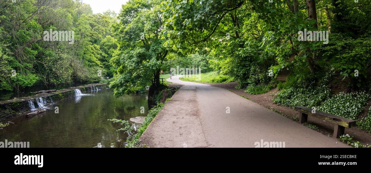 The River Frome flows over a weir beside a walking and cycling path in ...