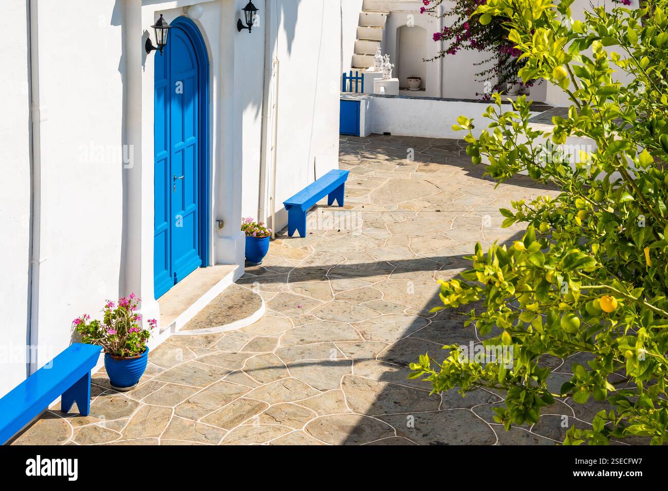Lemon tree in front of typical Greek white church with blue dome and ...