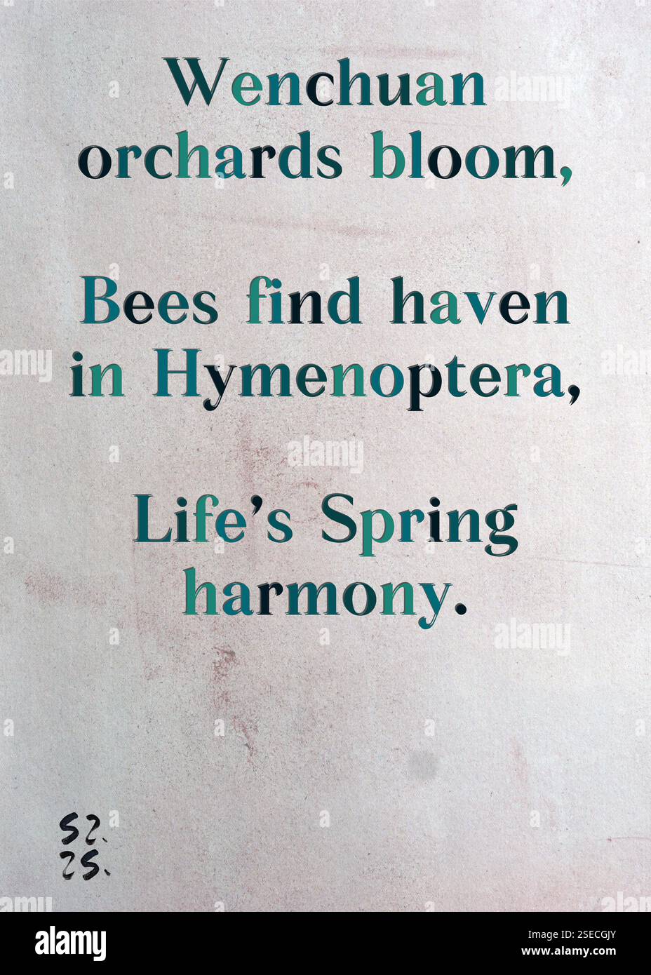 Wenchuan orchards bloom, Bees find haven in Hymenoptera, Life's Spring ...