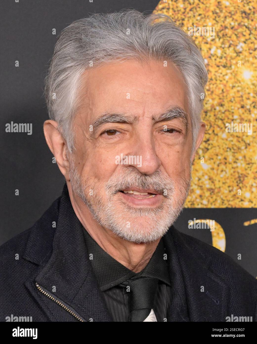 Hollywood, California, USA. 07th Feb, 2025. Joe Mantegna. 32nd Annual ...
