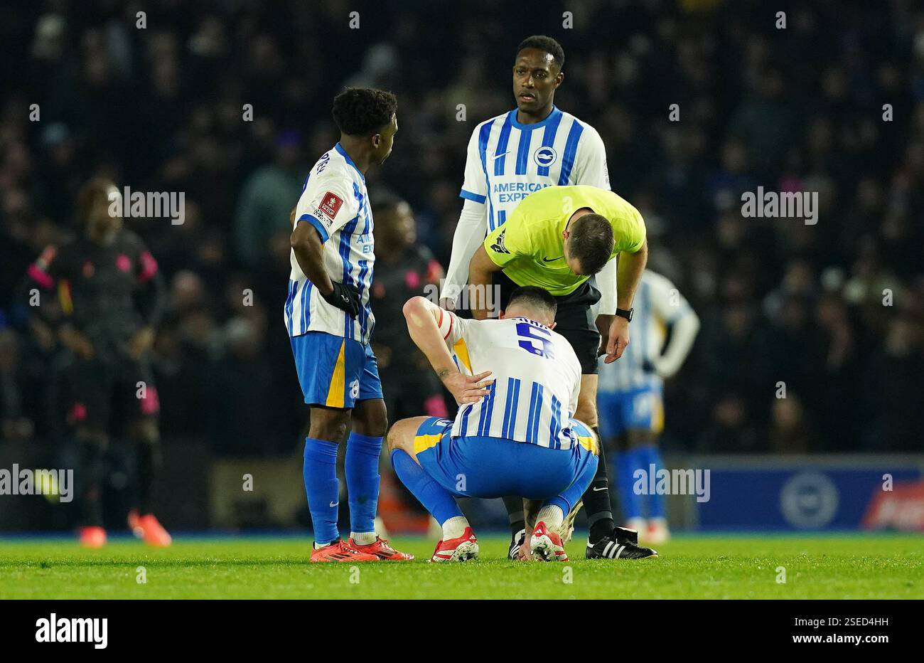 Brighton and Hove Albion's Lewis Dunk goes down injured during the ...