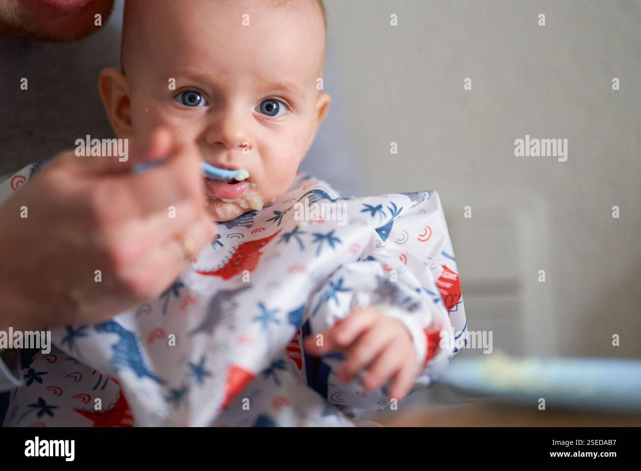 the first complementary feeding of a six-month-old baby with vegetable ...