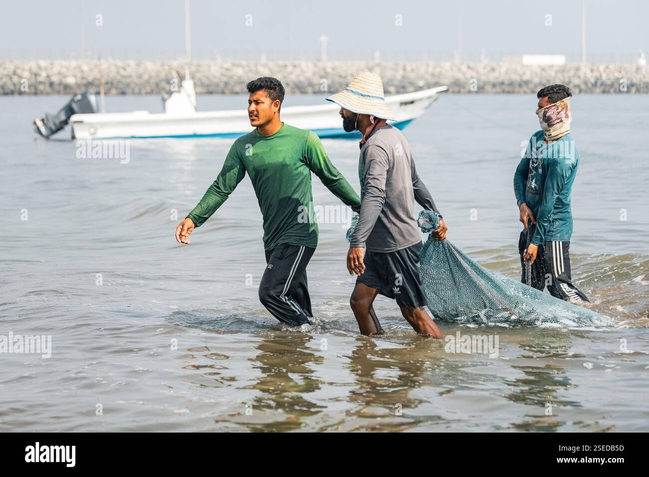 Fishermen uploading fresh fish on the pickup truck in Dubai, UAE Stock ...
