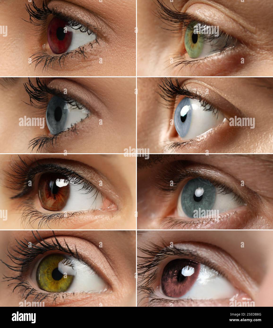 People with eyes of different colors, collage of photos Stock Photo - Alamy