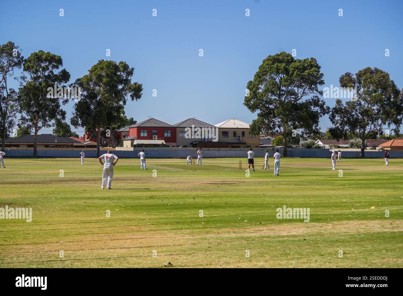 Local cricket match, Adelaide, Australia Stock Photo - Alamy