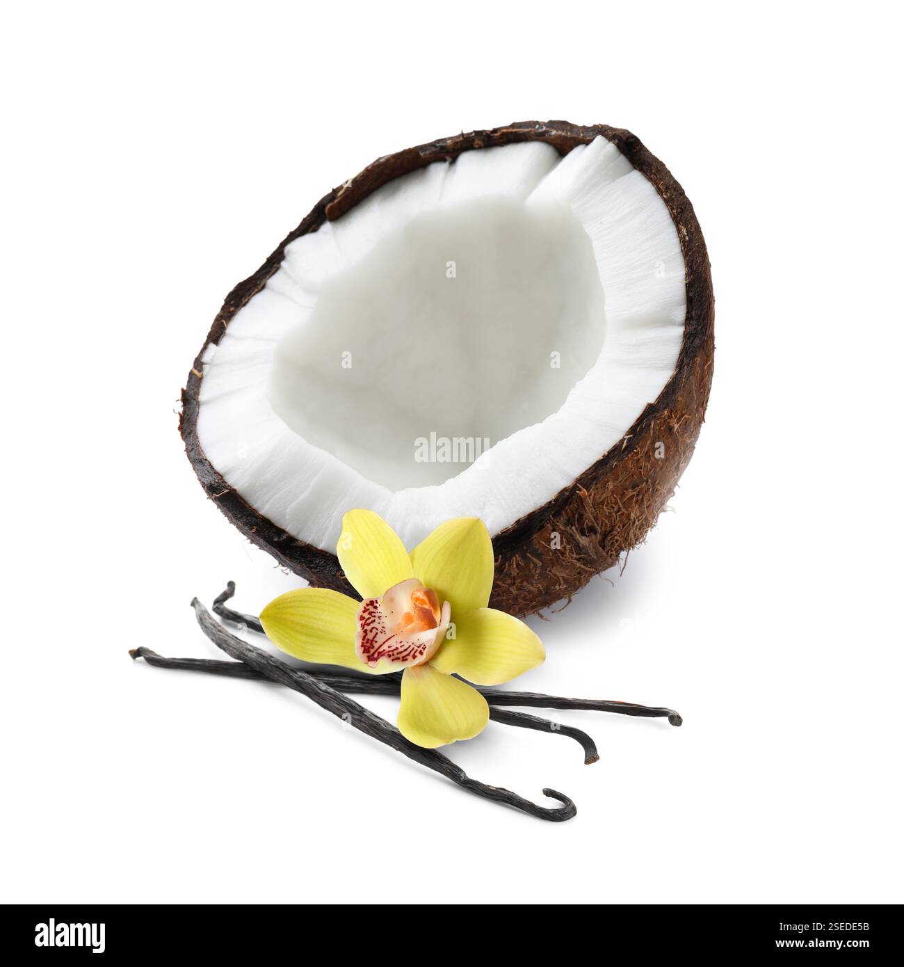 Coconut, vanilla pods and flower isolated on white Stock Photo - Alamy