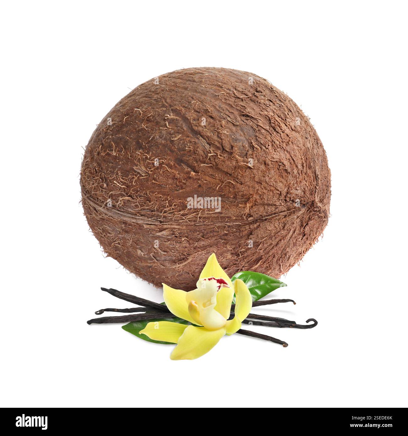 Coconut, vanilla pods and flower isolated on white Stock Photo - Alamy