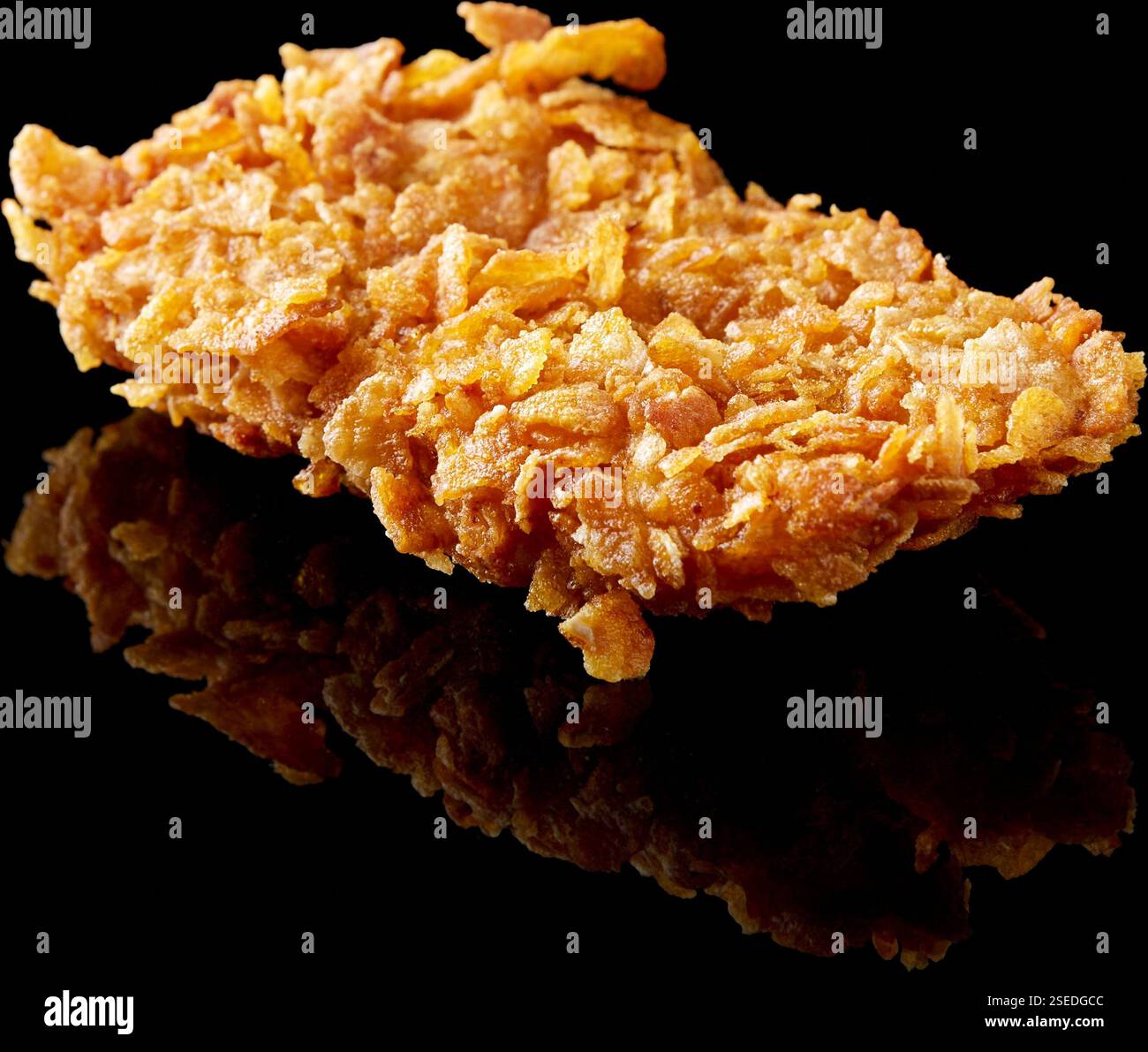A close-up of a crispy, golden-brown fried chicken fillet with a ...