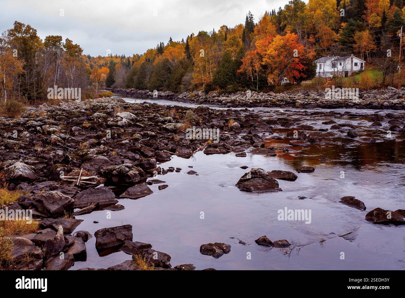 Beautiful fall colors algonquin hi-res stock photography and images - Alamy