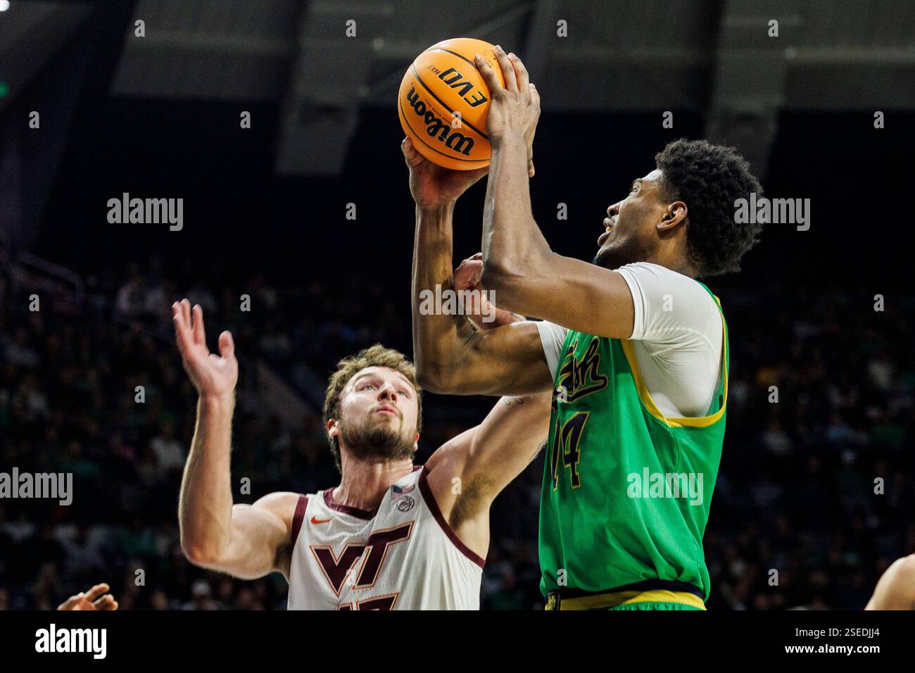 February 08, 2025: Notre Dame forward Kebba Njie (14) drives as ...