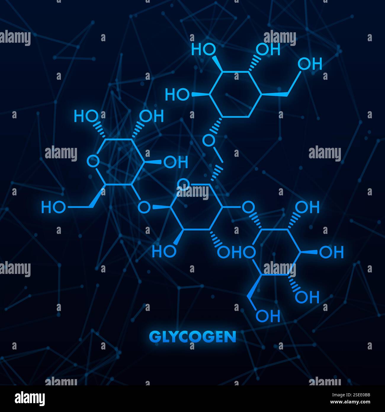 Glycogen Molecular Structure with Network Connections Representing ...