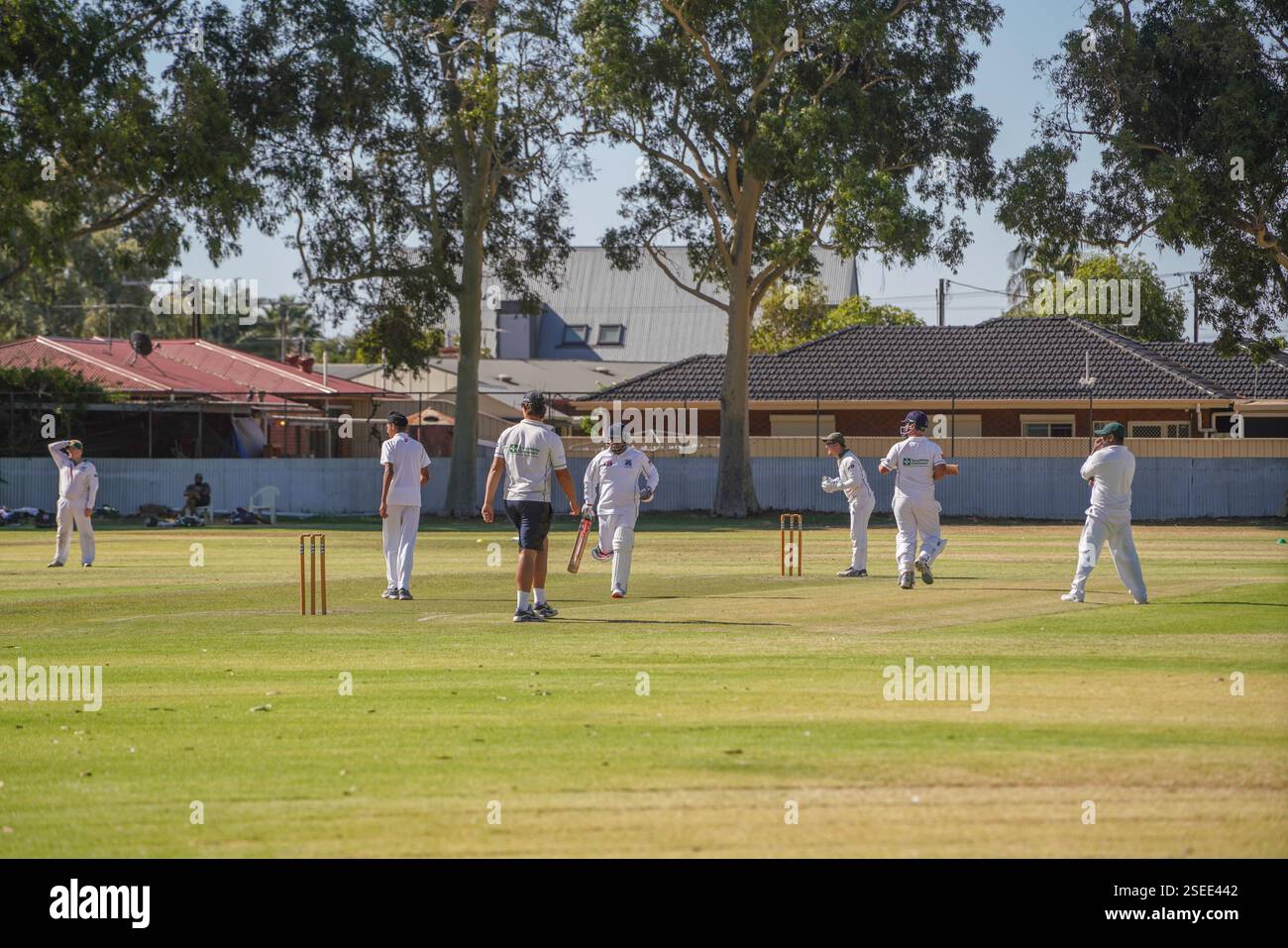 Cricket australia 2025 hi-res stock photography and images - Alamy