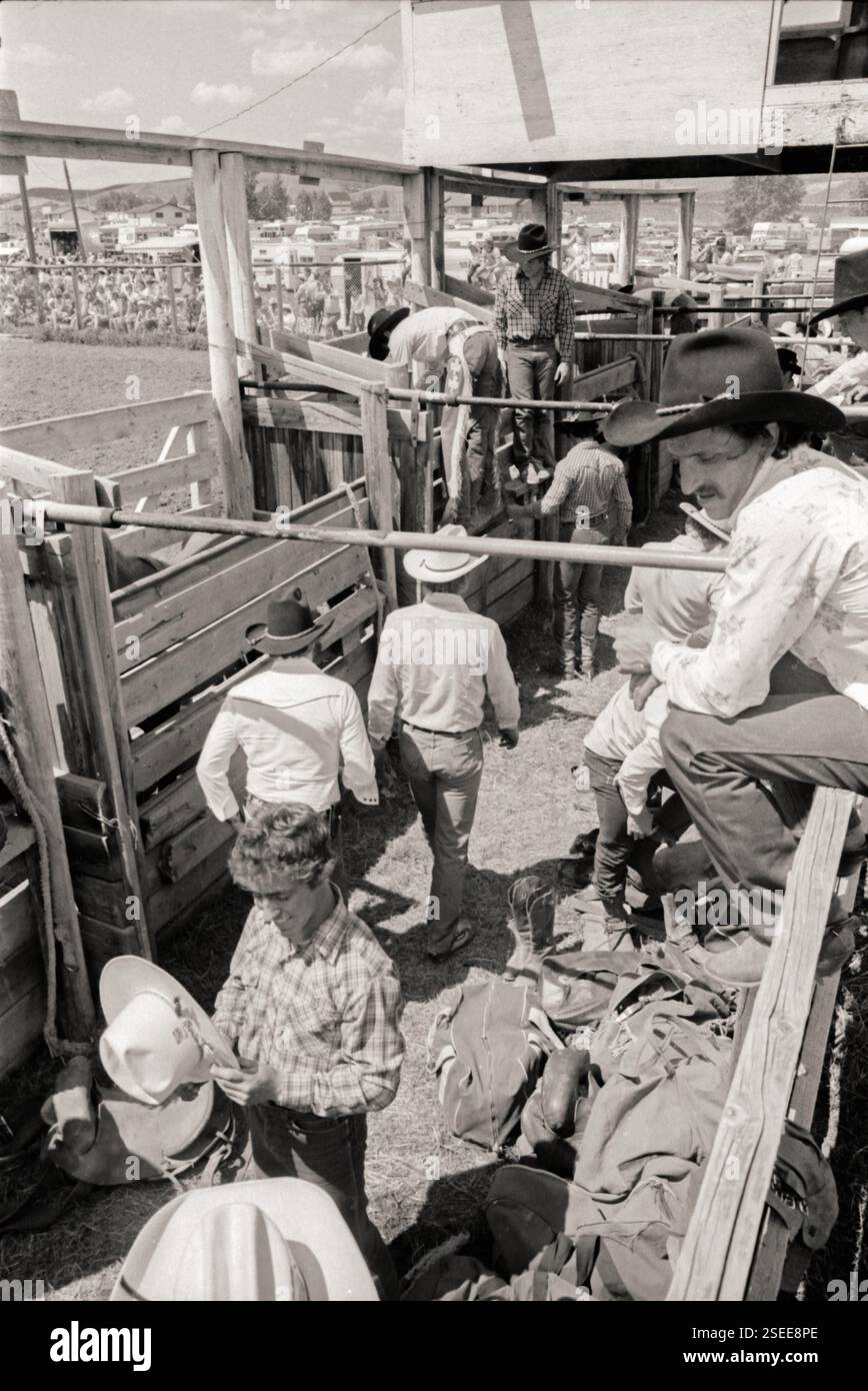 Black and white image of cowboys preparing for a rodeo event in an ...