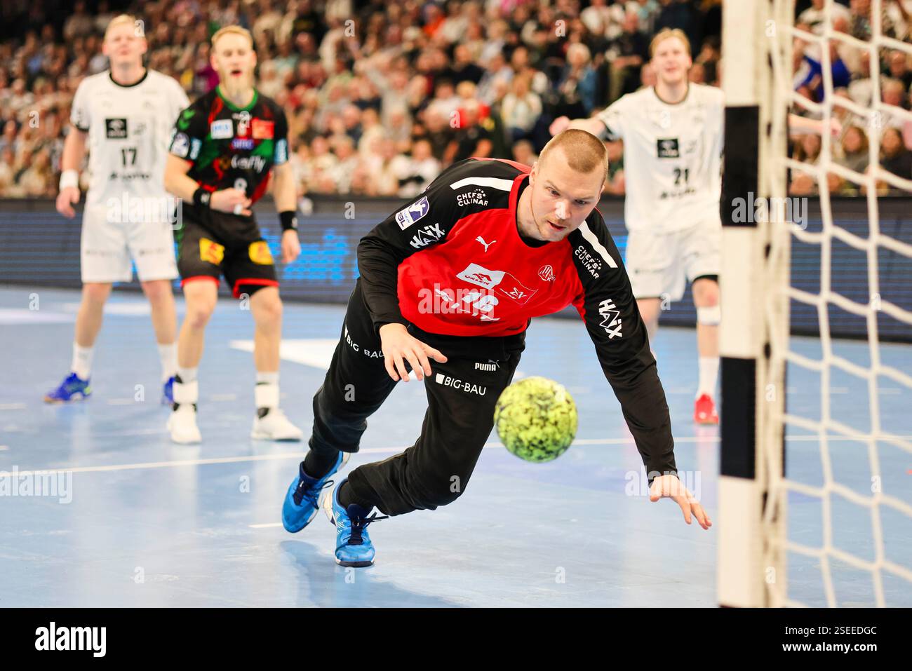 Kiel, Germany. 08th Feb, 2025. Handball: Bundesliga, THW Kiel - SC ...