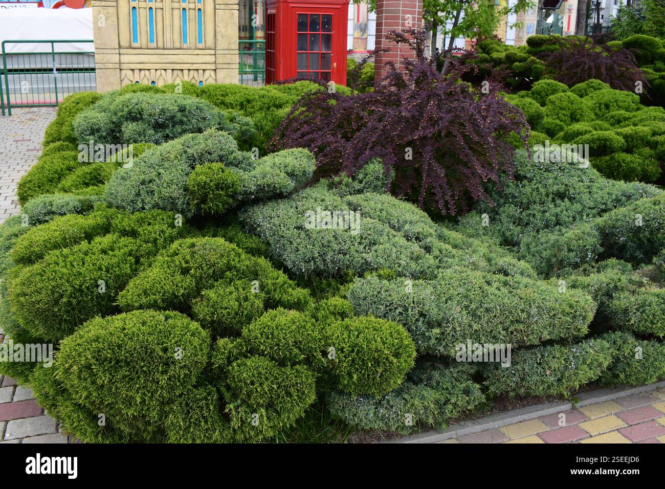 Kharkov, Ukraine, 14 May 2024. Landscape design with trimmed shrubs of ...