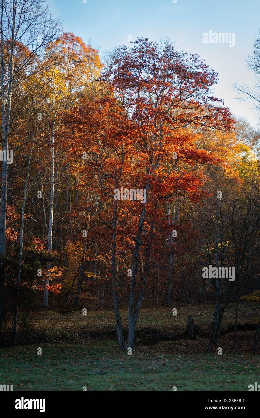 Fall colors in rural West Virginia Stock Photo - Alamy
