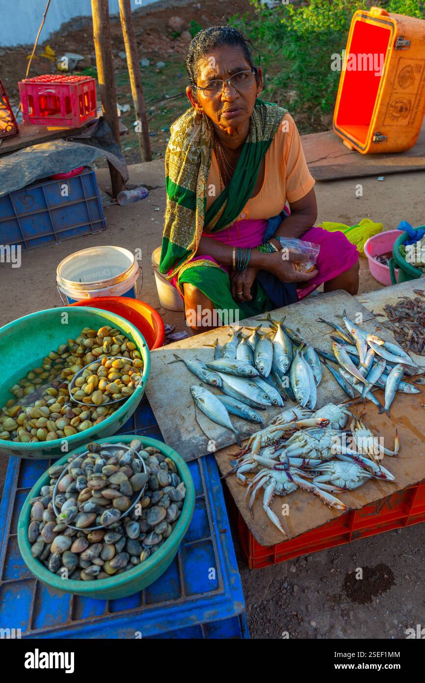India, Goa, 17 March 2017. Fish and other seafood in the markets of Goa ...