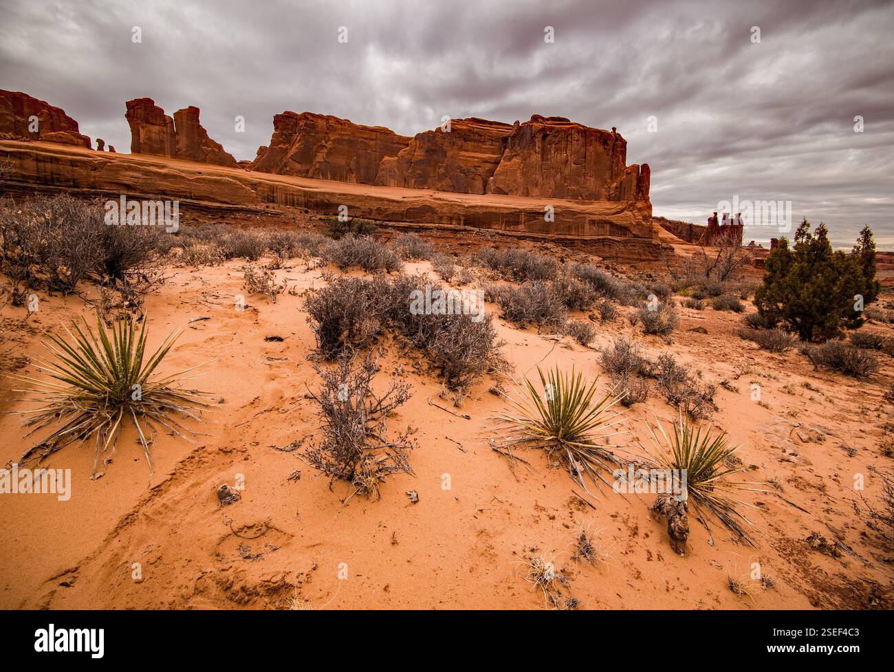 Arches National Park with gathering storm clouds. The character and ...