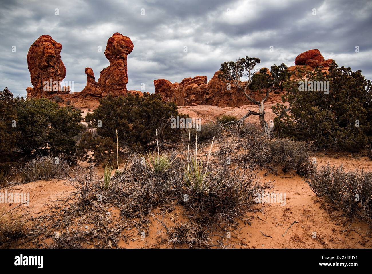 Arches National Park with gathering storm clouds. The character and ...