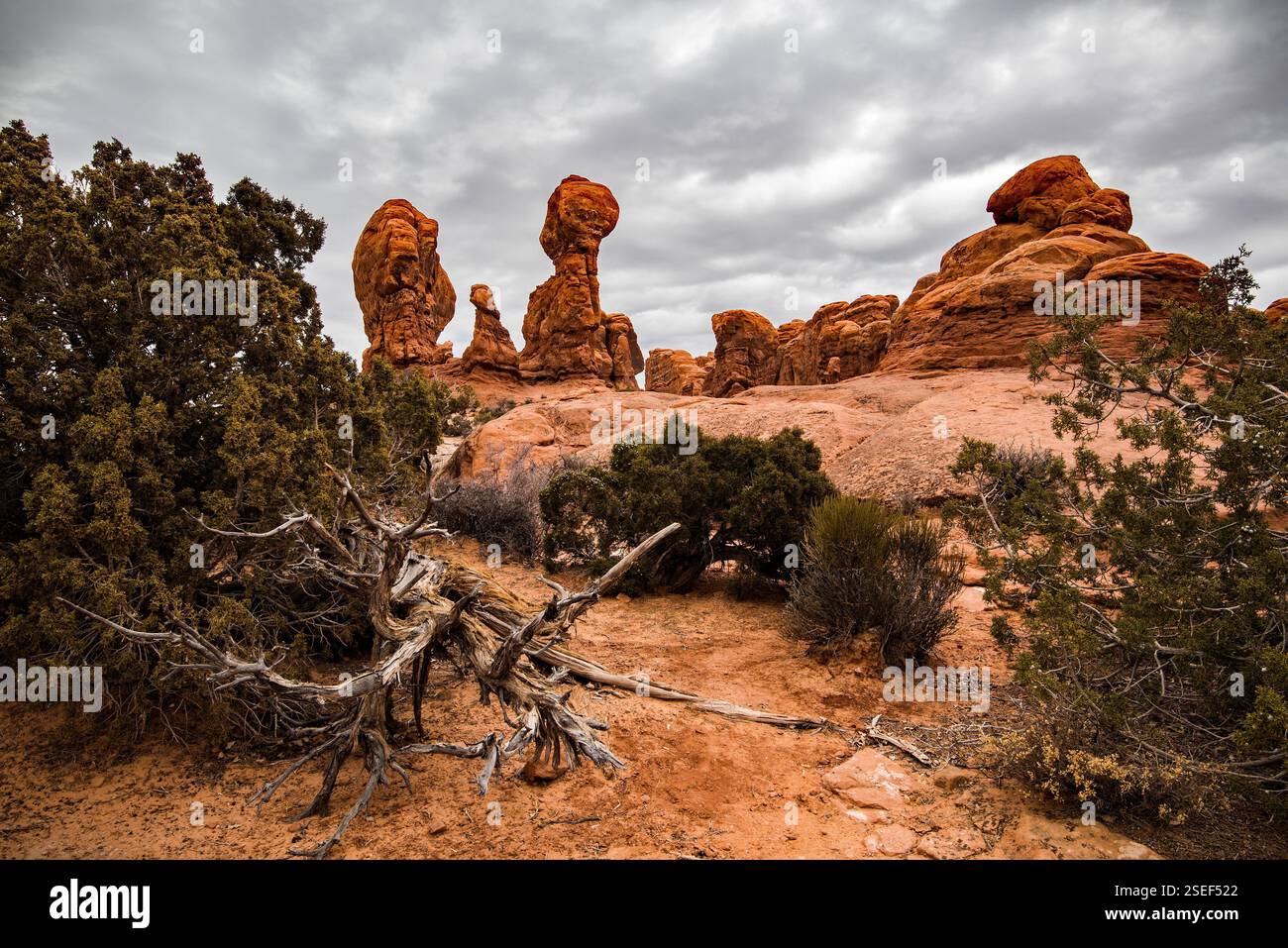 Arches National Park with gathering storm clouds. The character and ...