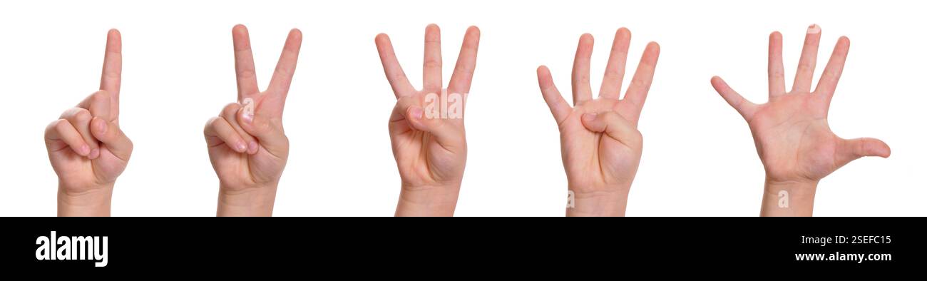 Child is counting by fingers. The numbers from one to five are shown ...