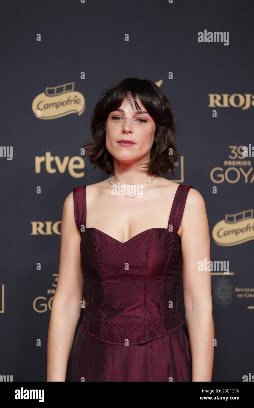 Granada, Spain. 08th Feb, 2025. 8/02/2025-Granada-Spain iria del rio ...