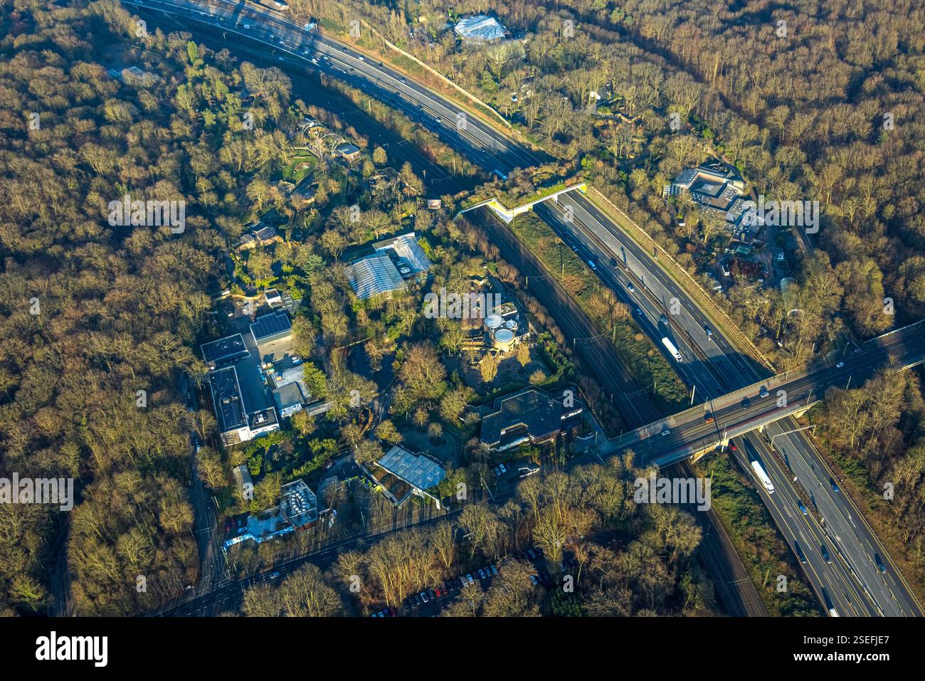 Aerial view, zoo in the forest with green bridge, round elephant house ...