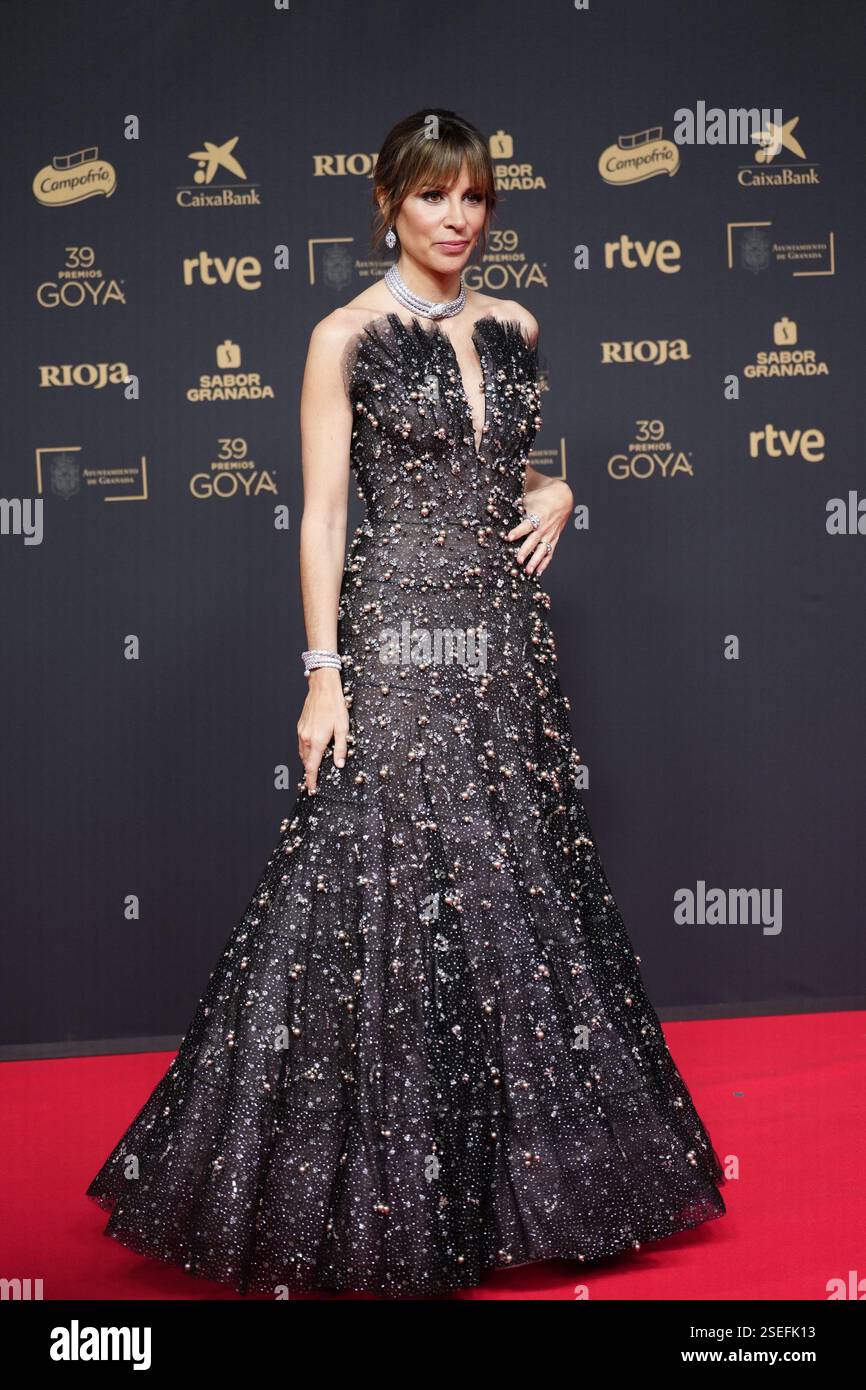 Granada, Spain. 08th Feb, 2025. 8/02/2025-Granada-Spain alejandra rivas ...