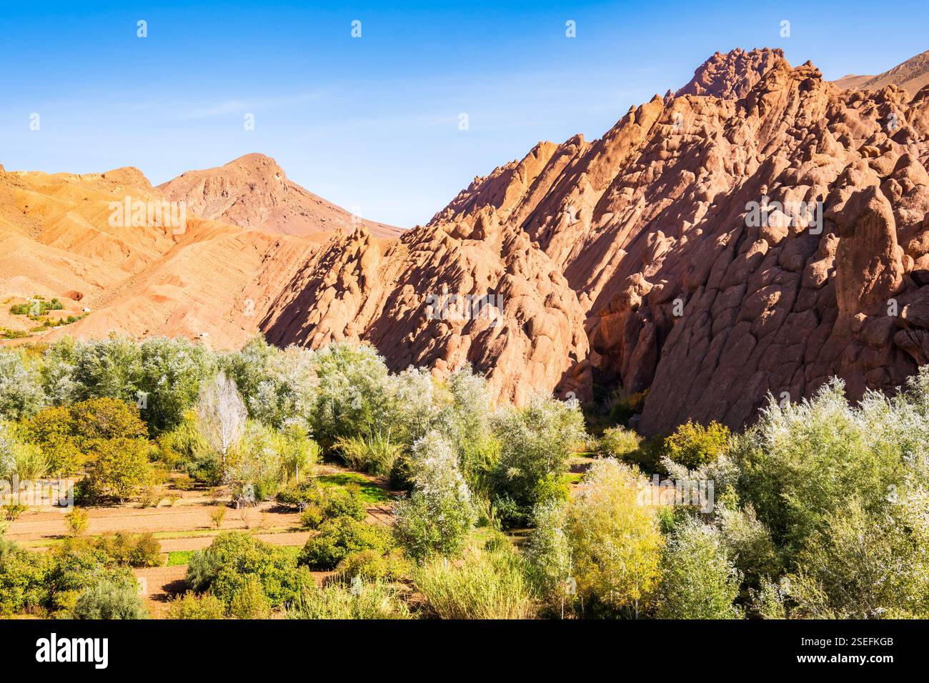 Green trees and view of Monkey Fingers, rocks formation in mountains of ...