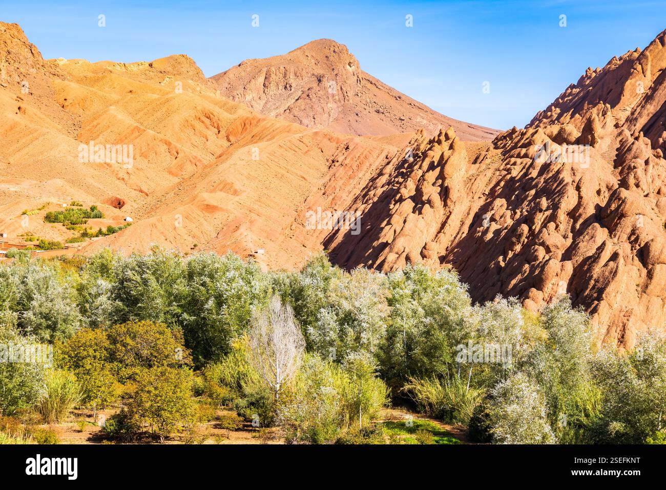 Green trees and view of Monkey Fingers, rocks formation in mountains of ...