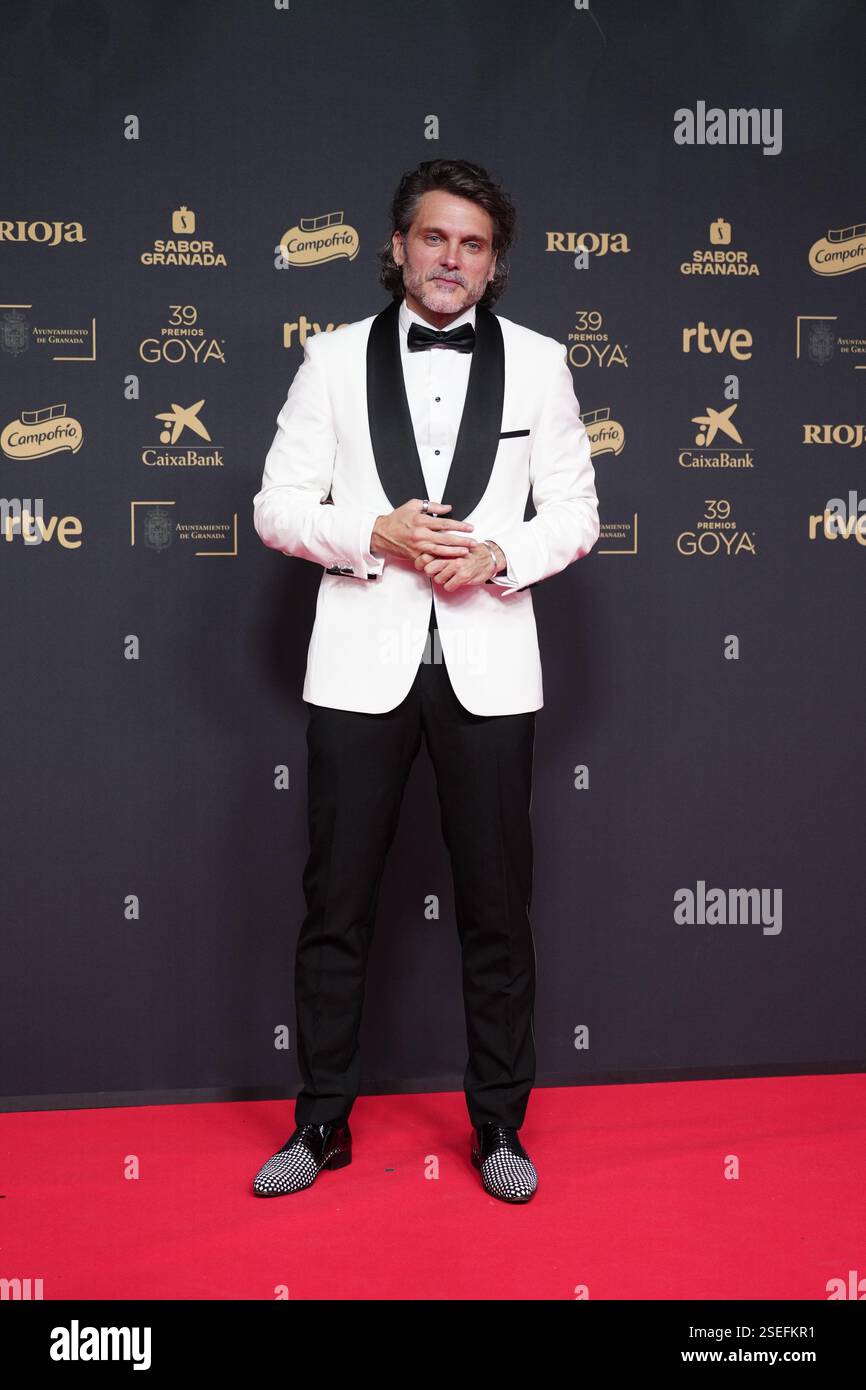 8/02/2025-Granada-Spain salva reina attends 39th Goya Awards - Red ...
