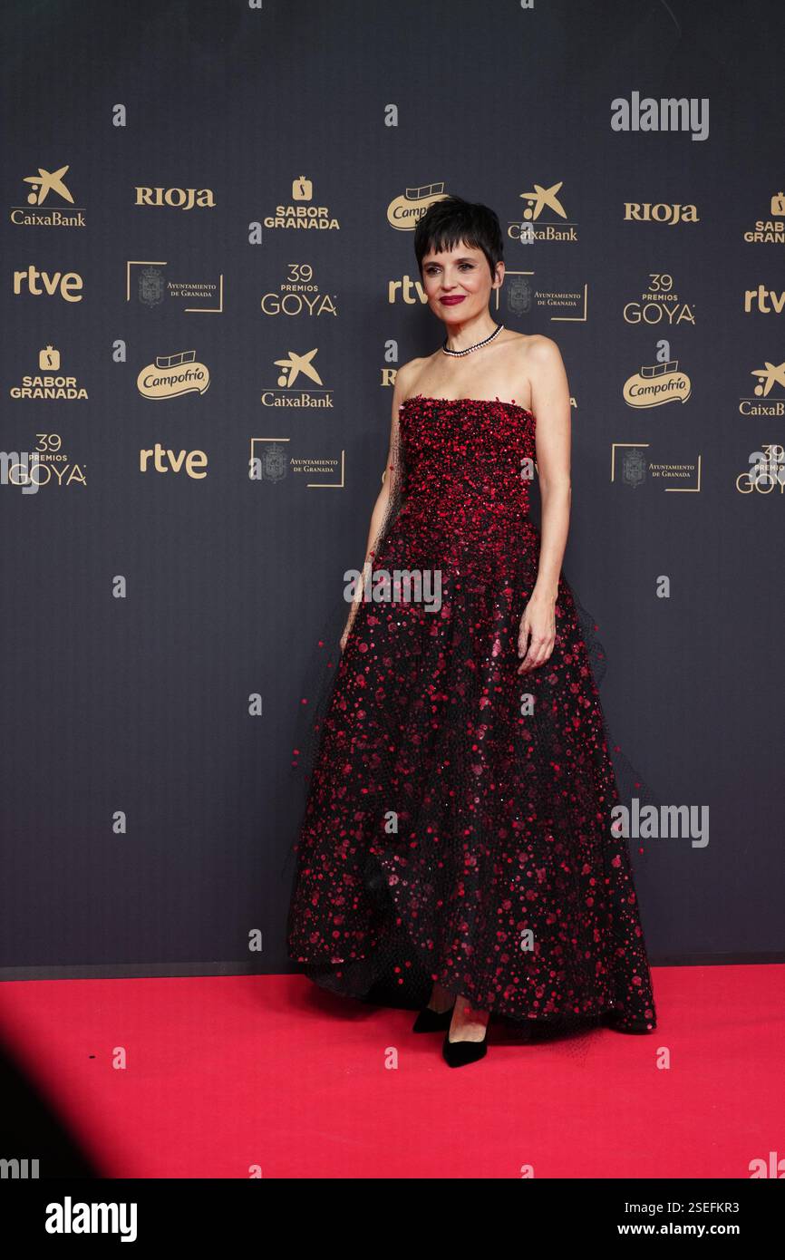 Granada, Spain. 08th Feb, 2025. 8/02/2025-Granada-Spain elena anaya ...