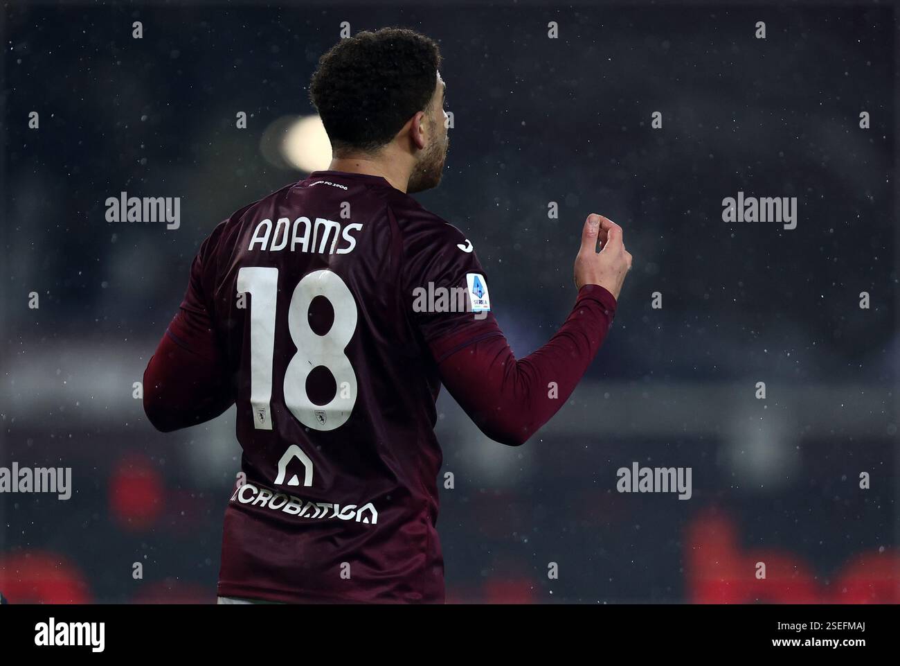 Torino, Italy. 08th Feb, 2025. Che Adams of Torino Fc looks dejected ...