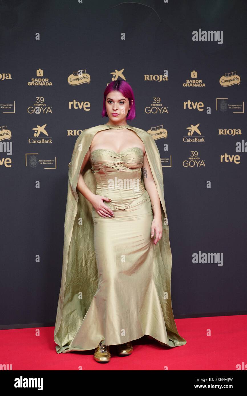 Granada, Spain. 08th Feb, 2025. 8/02/2025-Granada-Spain dora postigo ...