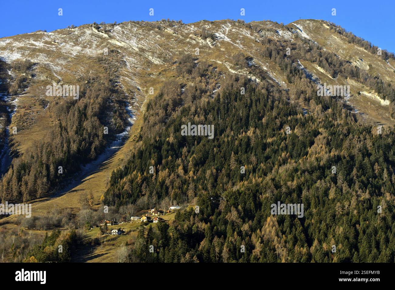 Protected forest around the houses of the hamlet of Chou on the flank ...