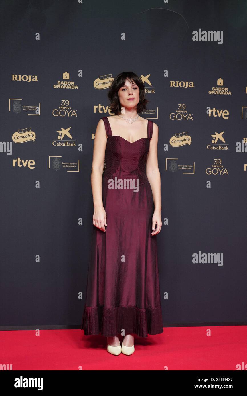 Granada, Spain. 08th Feb, 2025. 8/02/2025-Granada-Spain iria del rio ...