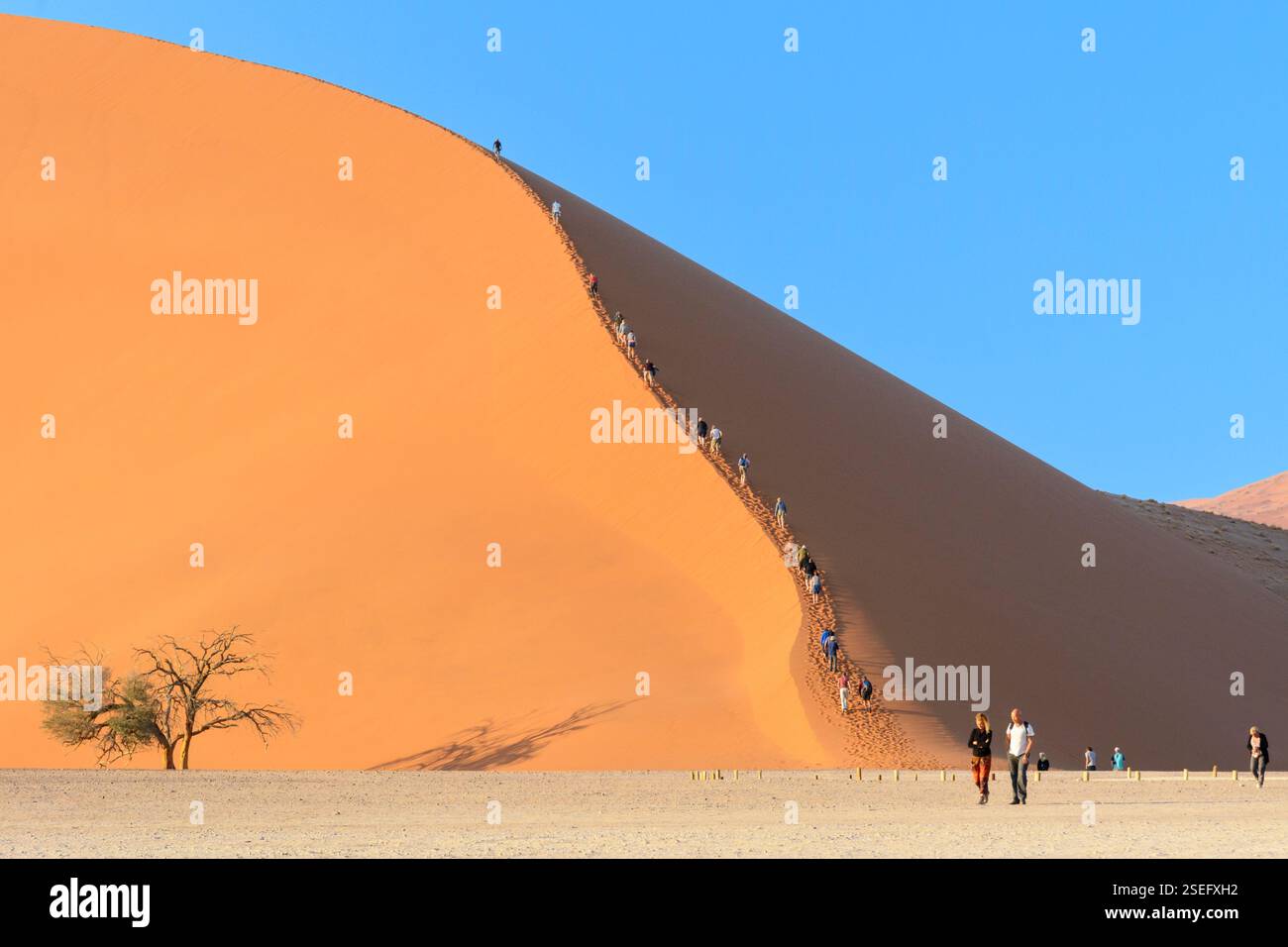 People climbing Dune 45, a giant sand dune, on the route between ...