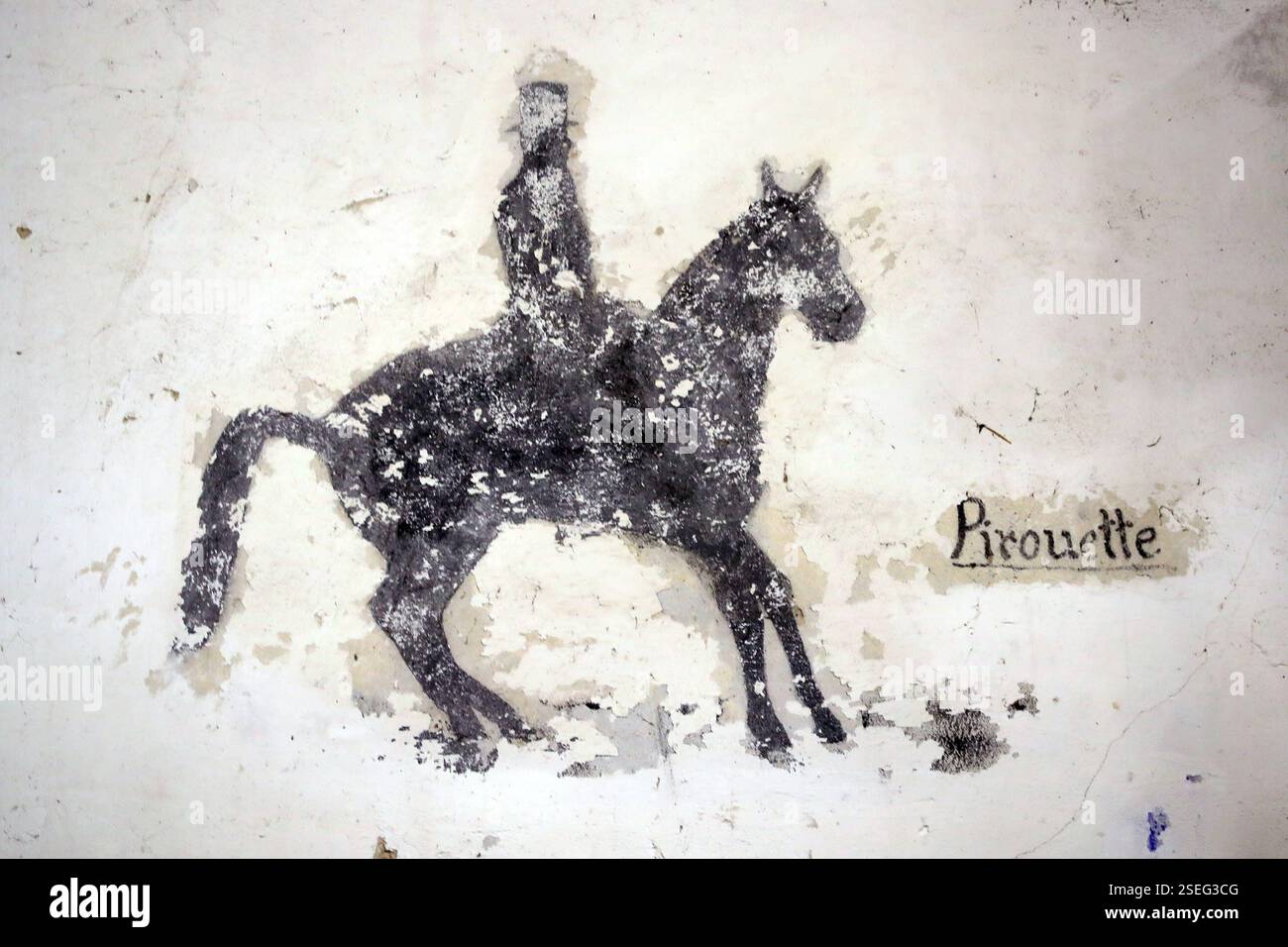 Pferd und reiter bild hi-res stock photography and images - Alamy