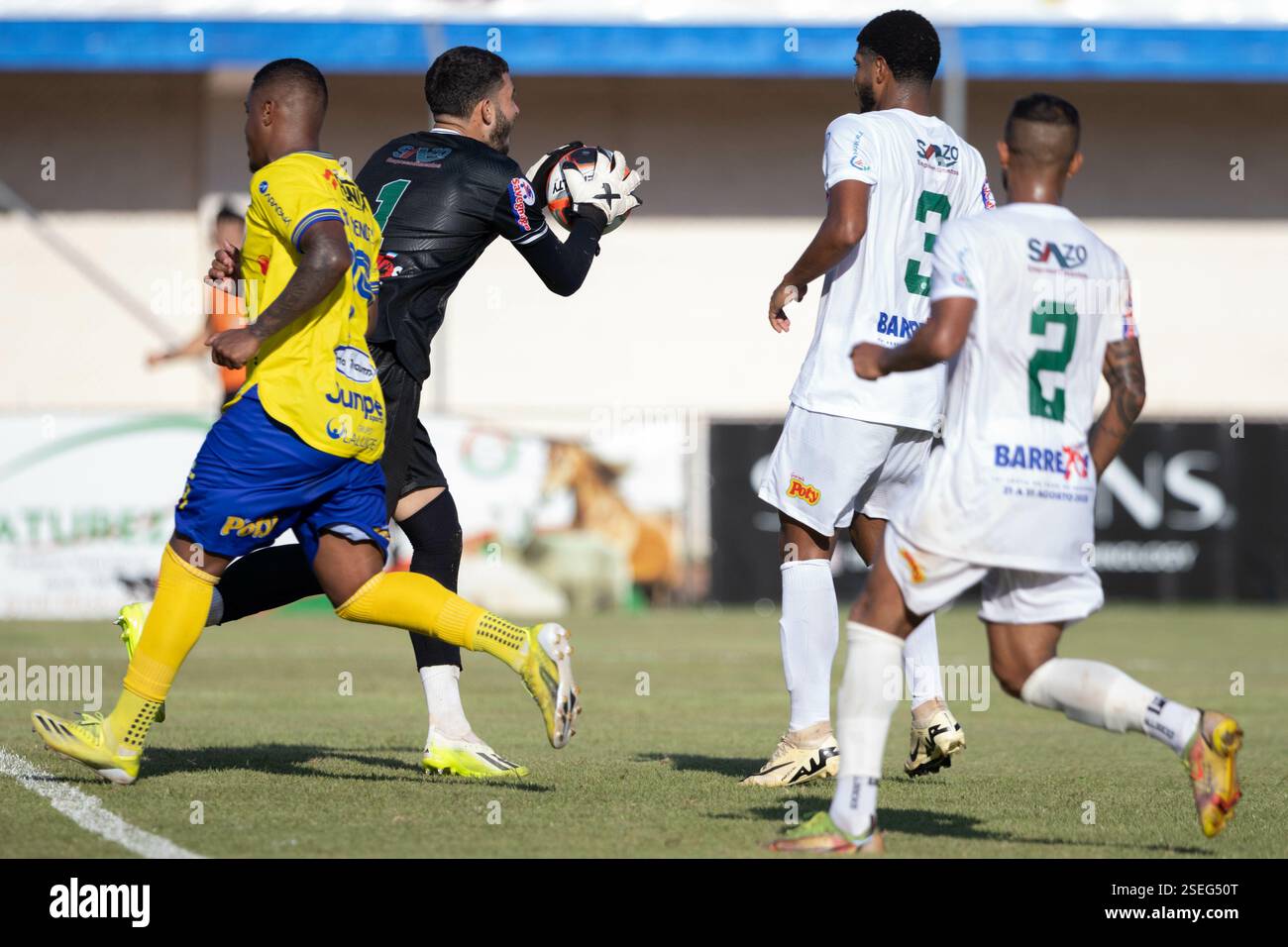 Aracatuba, Brazil. 08th Feb, 2025. SP - ARACATUBA - 02/08/2025 ...